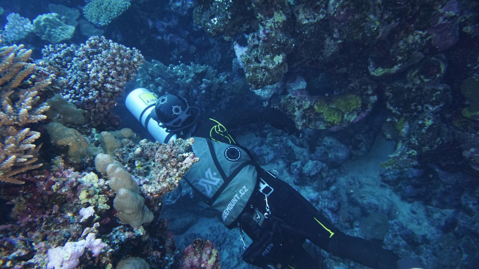 Daedalus + Brothers Islands safari